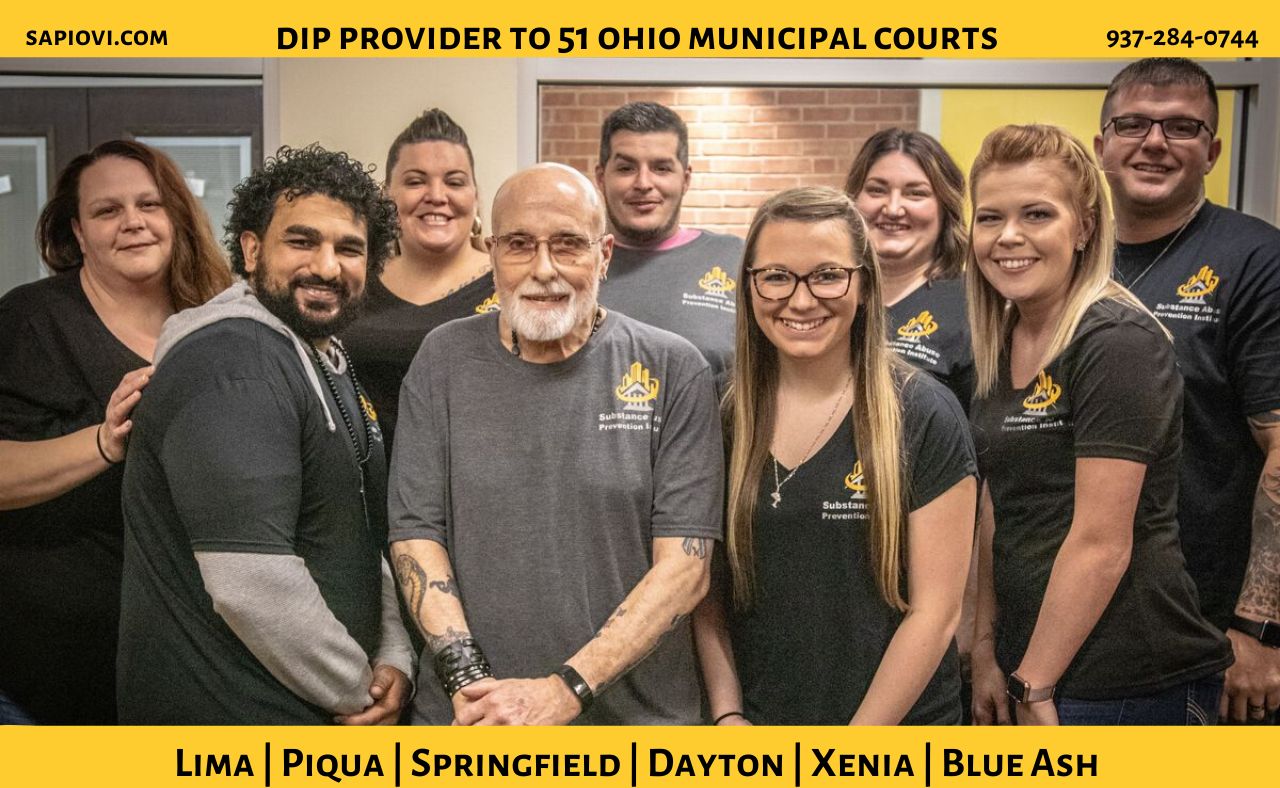 SAPI Online Driver Intervention Program